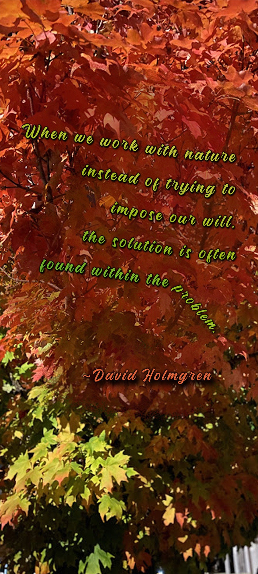 Nature Affirmation Wallpapers to Make Your Day - Etsy