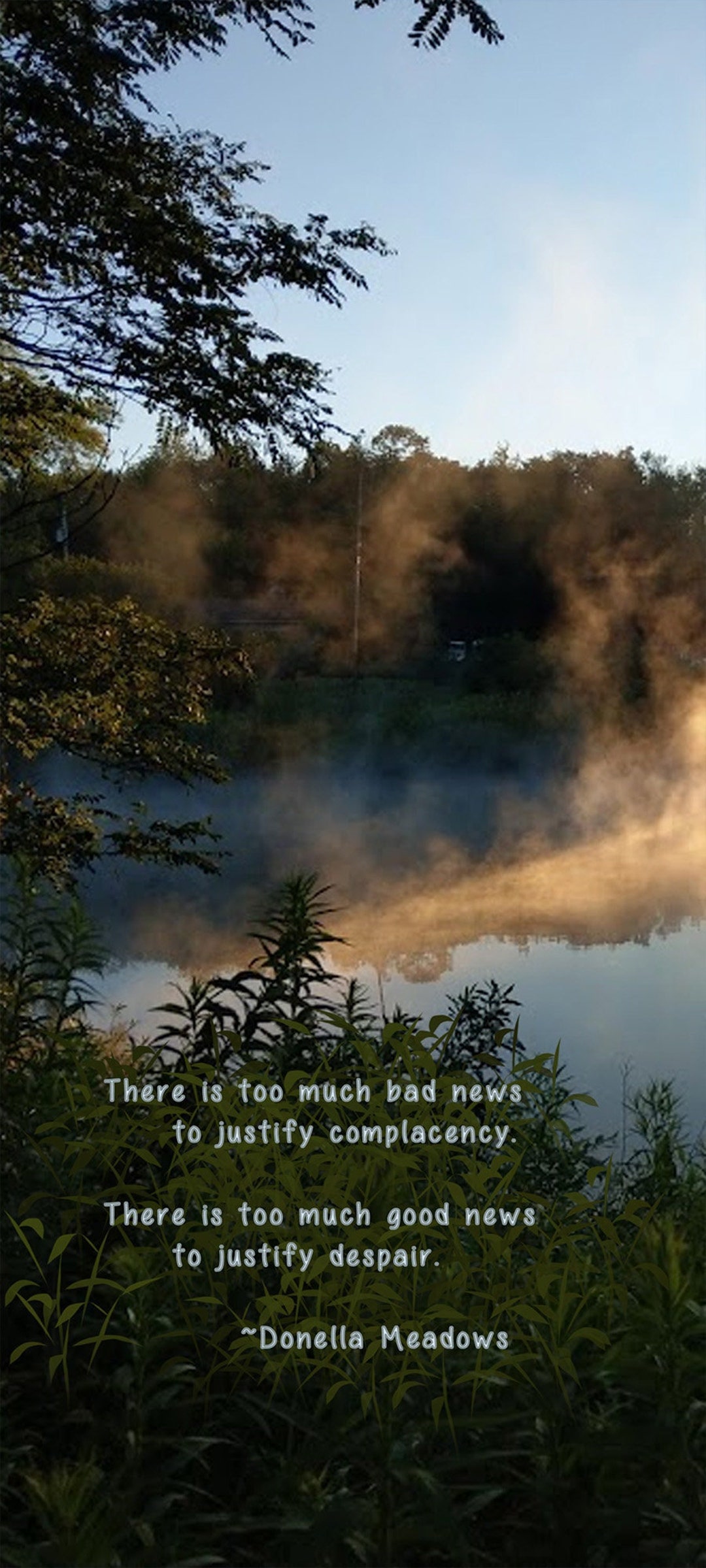 Nature Affirmation Wallpapers to Make Your Day - Etsy