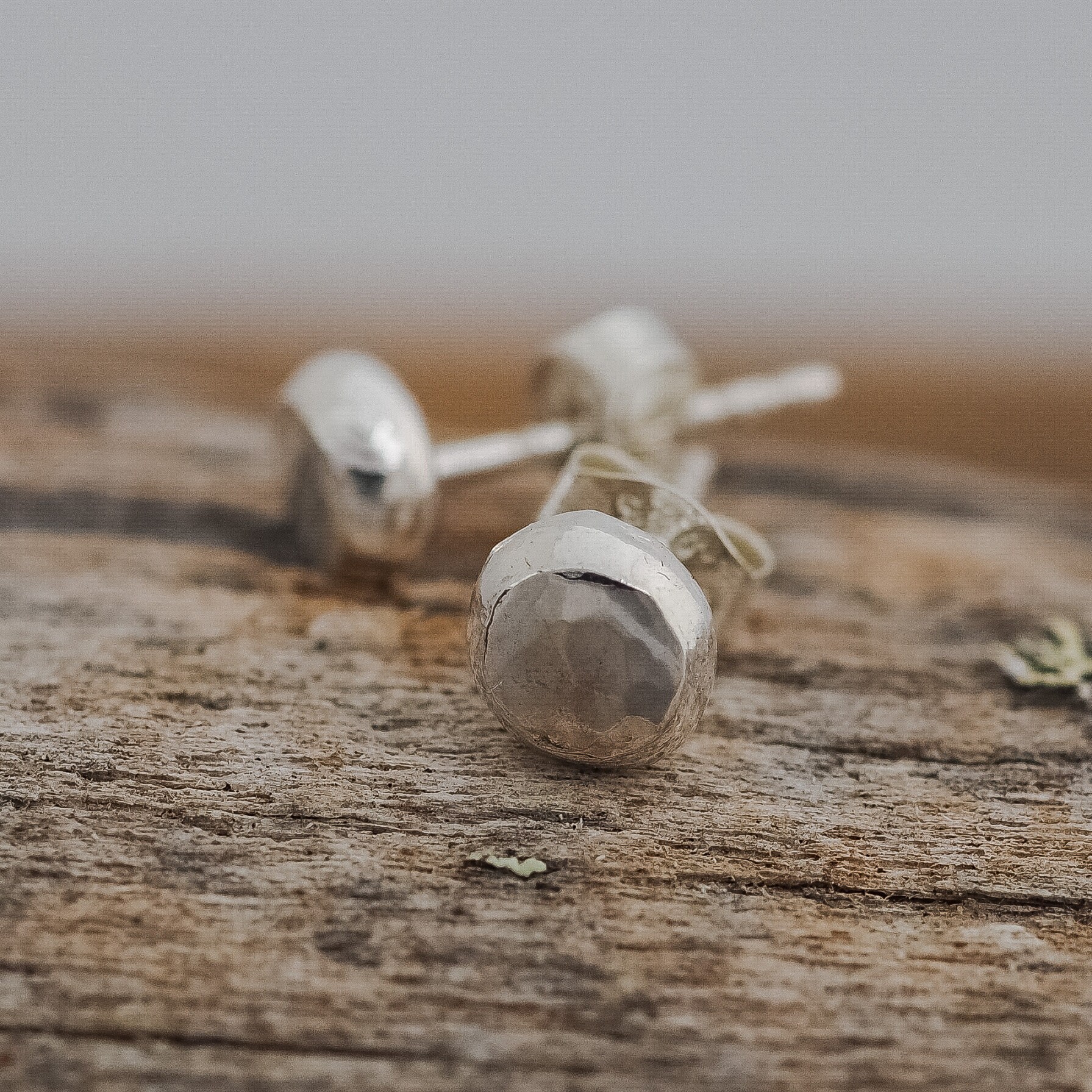 Shop — Wild Forest Studio