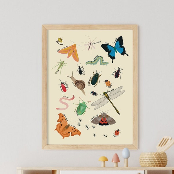 Bug Prints - Etsy