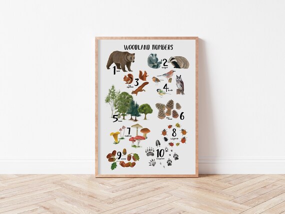 Woodland Numbers Poster Numbers Poster Woodland Counting - Etsy