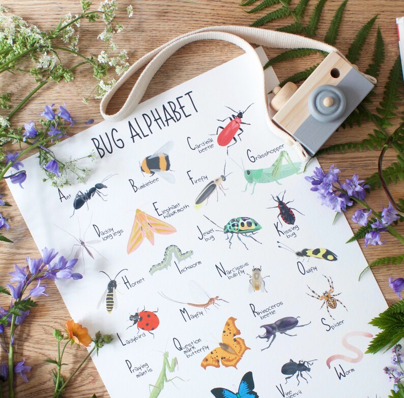 Bug Alphabet Print ABC Poster Children's Print Wall - Etsy