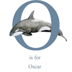 Personalised O for Orca Watercolour Animal Alphabet Giclée | Etsy