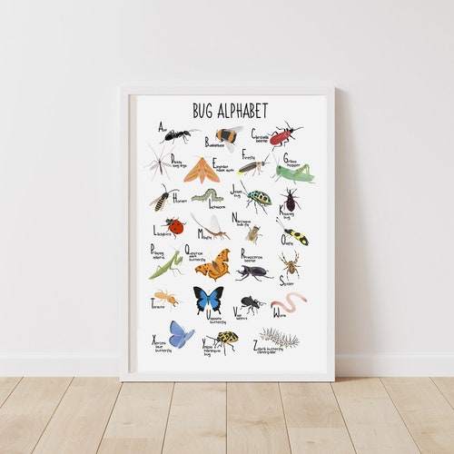 Bug Alphabet Print Pastel Colours ABC Poster Children's - Etsy