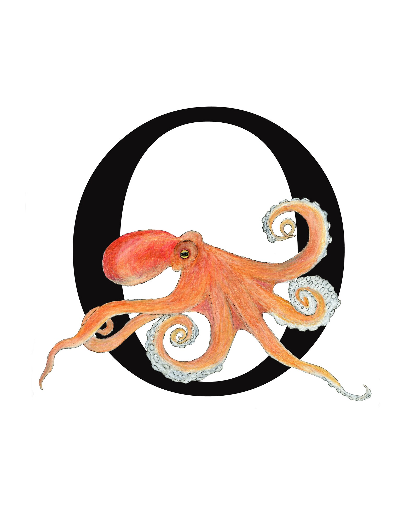 O for Octopus Animal Alphabet Giclée Print Nursery Wall | Etsy