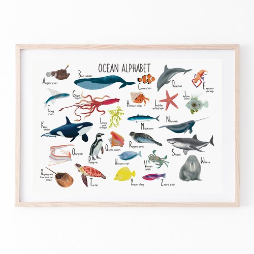Ocean Alphabet Print Nautical ABC Poster Sea Animal - Etsy