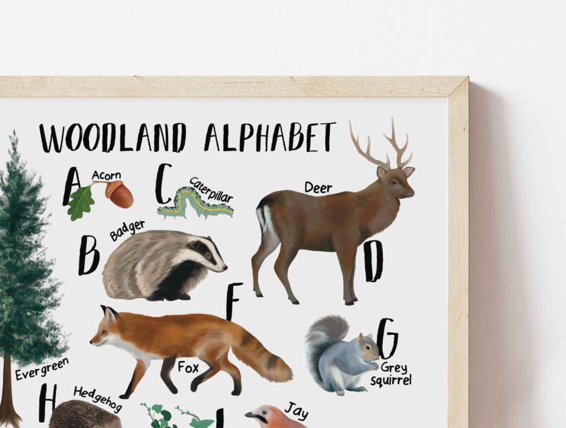 UK Woodland Alphabet Poster ABC Poster Abc Wall Art Wall - Etsy