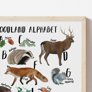 UK Woodland Alphabet Poster, ABC Poster, Abc Wall Art, Wall Decor ...