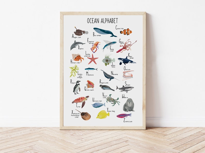 Ocean Animal Alphabet Alphabet Poster Print Wall Art - Etsy