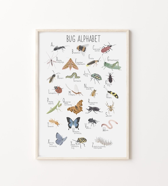 Bug Alphabet Print Pastel colours ABC Poster Children's | Etsy