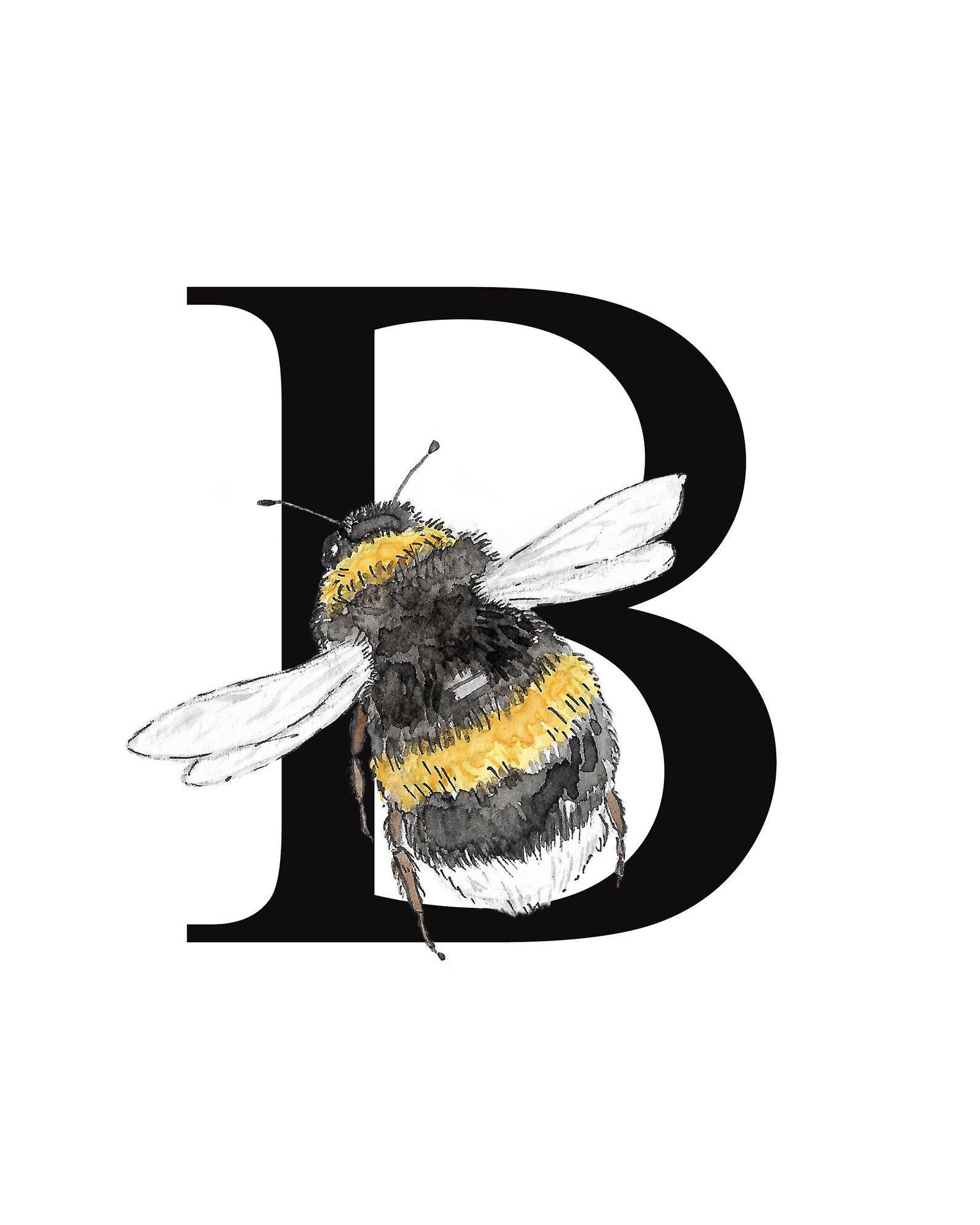 B for Bee Watercolour Animal Alphabet Giclée Print Nursery | Etsy