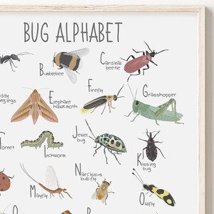 Bug Alphabet Print Pastel Colours, ABC Poster, Children's Print, Wall ...
