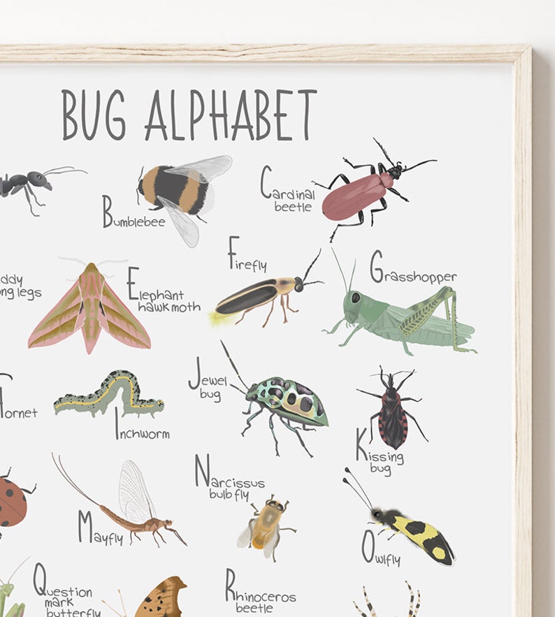 Bug Alphabet Print Pastel Colours ABC Poster Children's | Etsy