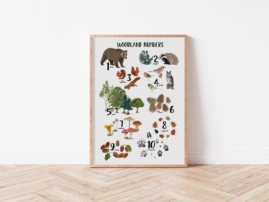 Woodland Animals Numbers Poster, Forest Nursery Decor - Etsy