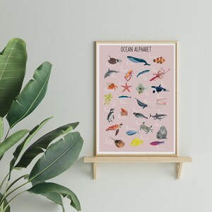 Ocean Animal Alphabet Alphabet Poster Print Wall Art | Etsy
