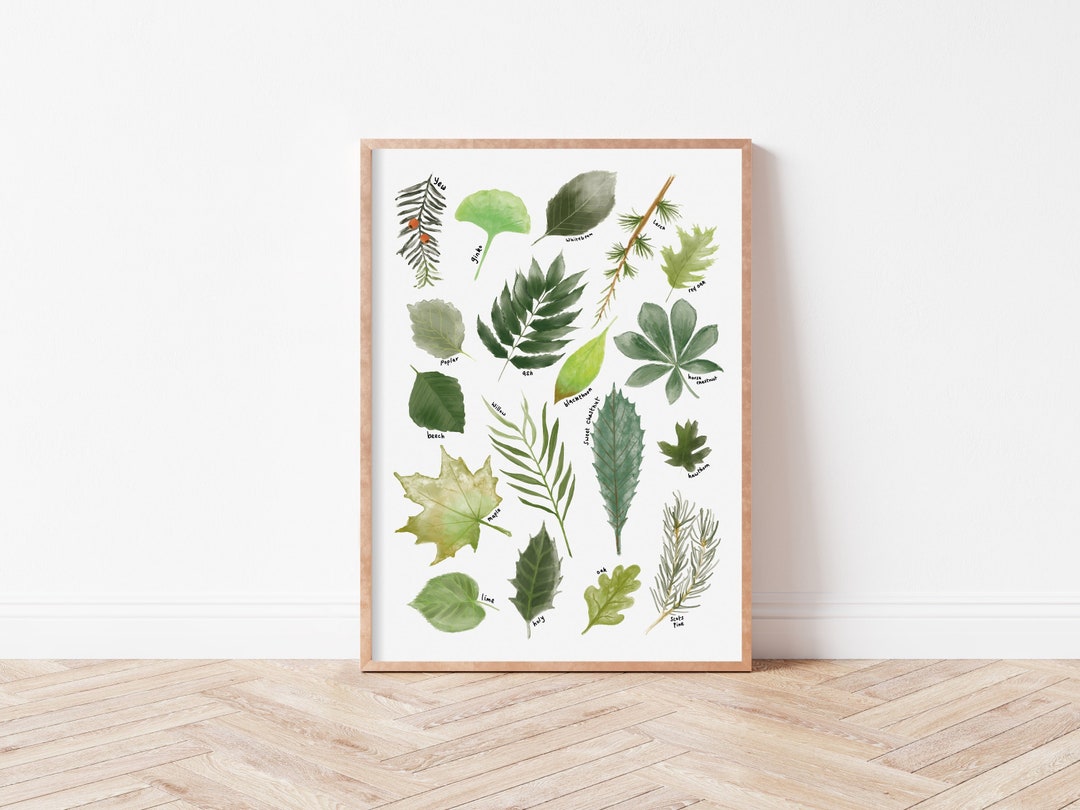 Green Leaf Poster, Nature Wall Decor, Woodland Themed Nursery Print ...