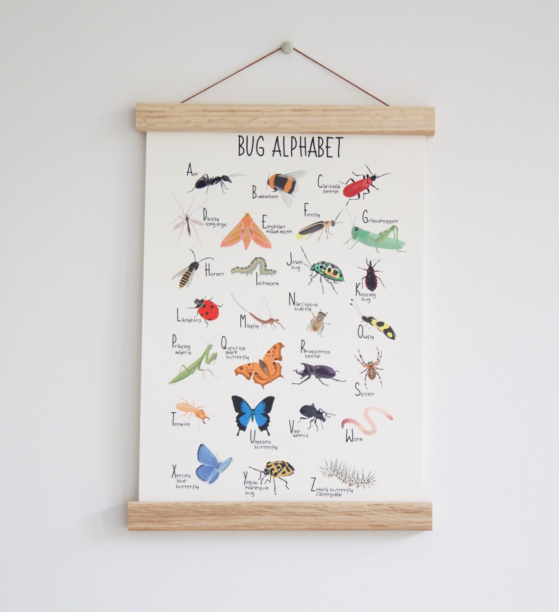 Bug Alphabet Print ABC Poster Children's Print Wall - Etsy