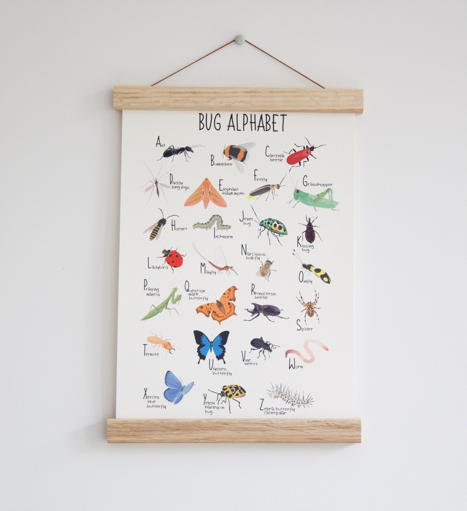 Bug Alphabet Print ABC Poster Children's Print Wall - Etsy