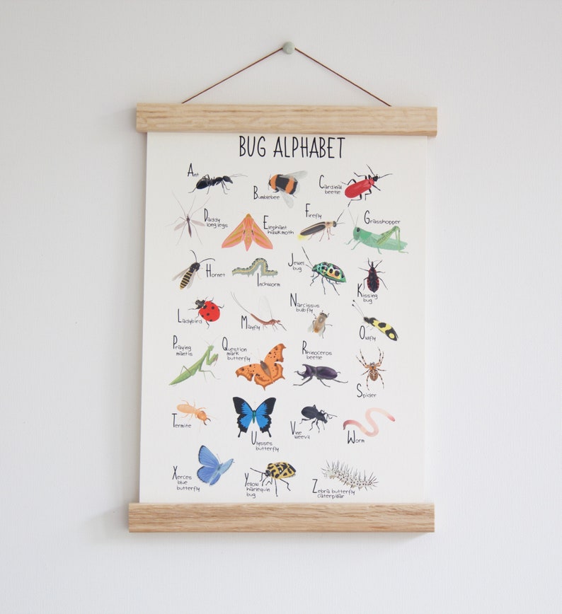 Bug Alphabet Print ABC Poster Children's Print Wall - Etsy
