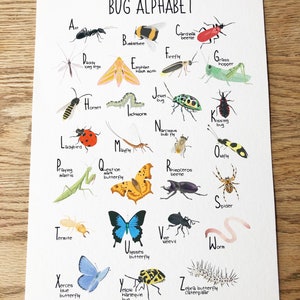 Bug Alphabet Print, ABC Poster, Children's Print, Wall Decor, Nursery ...