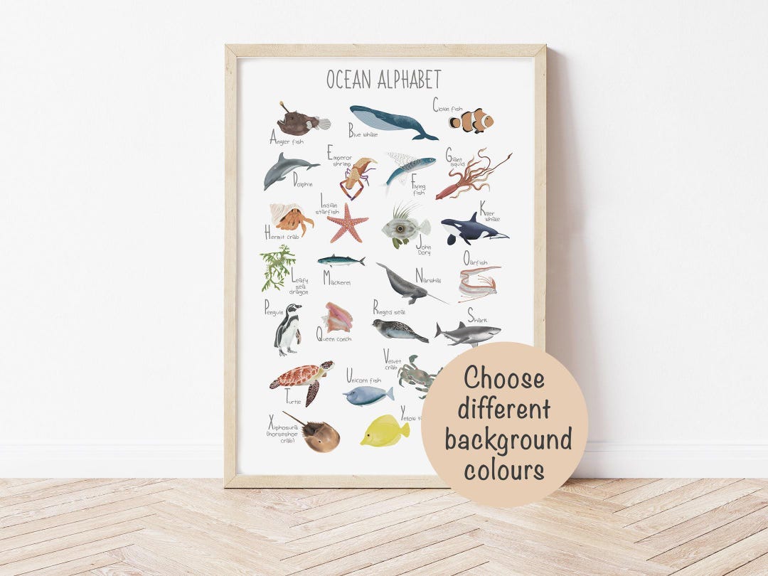 Ocean Alphabet Poster, Beach Nursery Decor, Playroom Art Print - Etsy