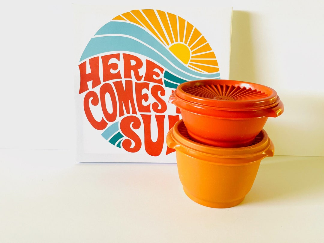 2 Vintage Orange Tupperware Bowls, Tupperware Orange Covered Bowl Set ...