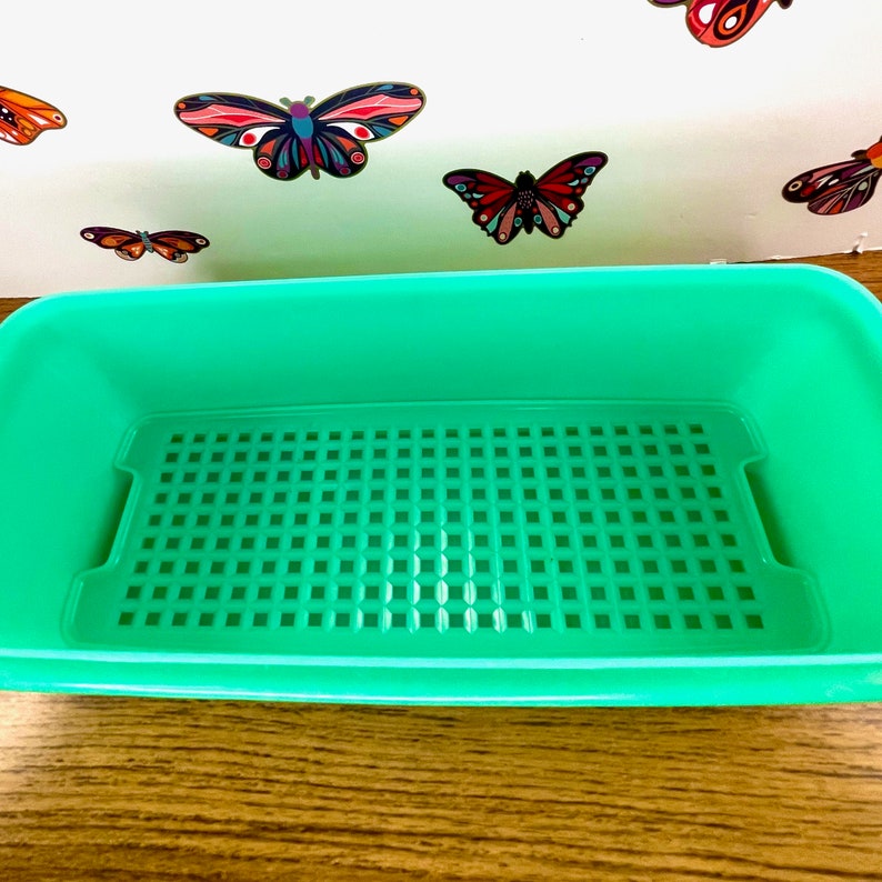 Tupperware Jade Celery Keeper, Vintage Tupperware Lettuce Keeper ...