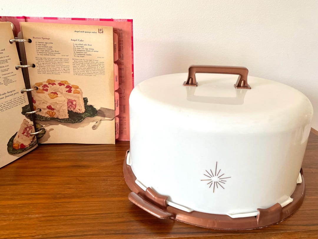 1960s Plastic Cake Carrier, Atomic Starburst Cake Taker and Storage ...