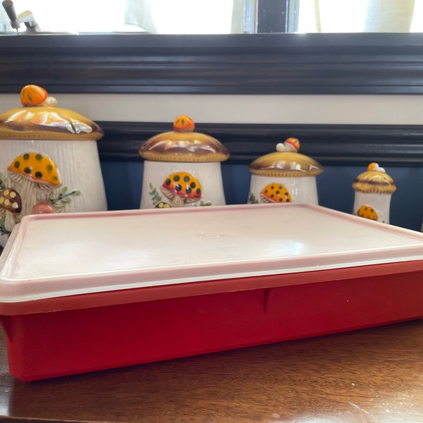 Orange Tupperware - Etsy