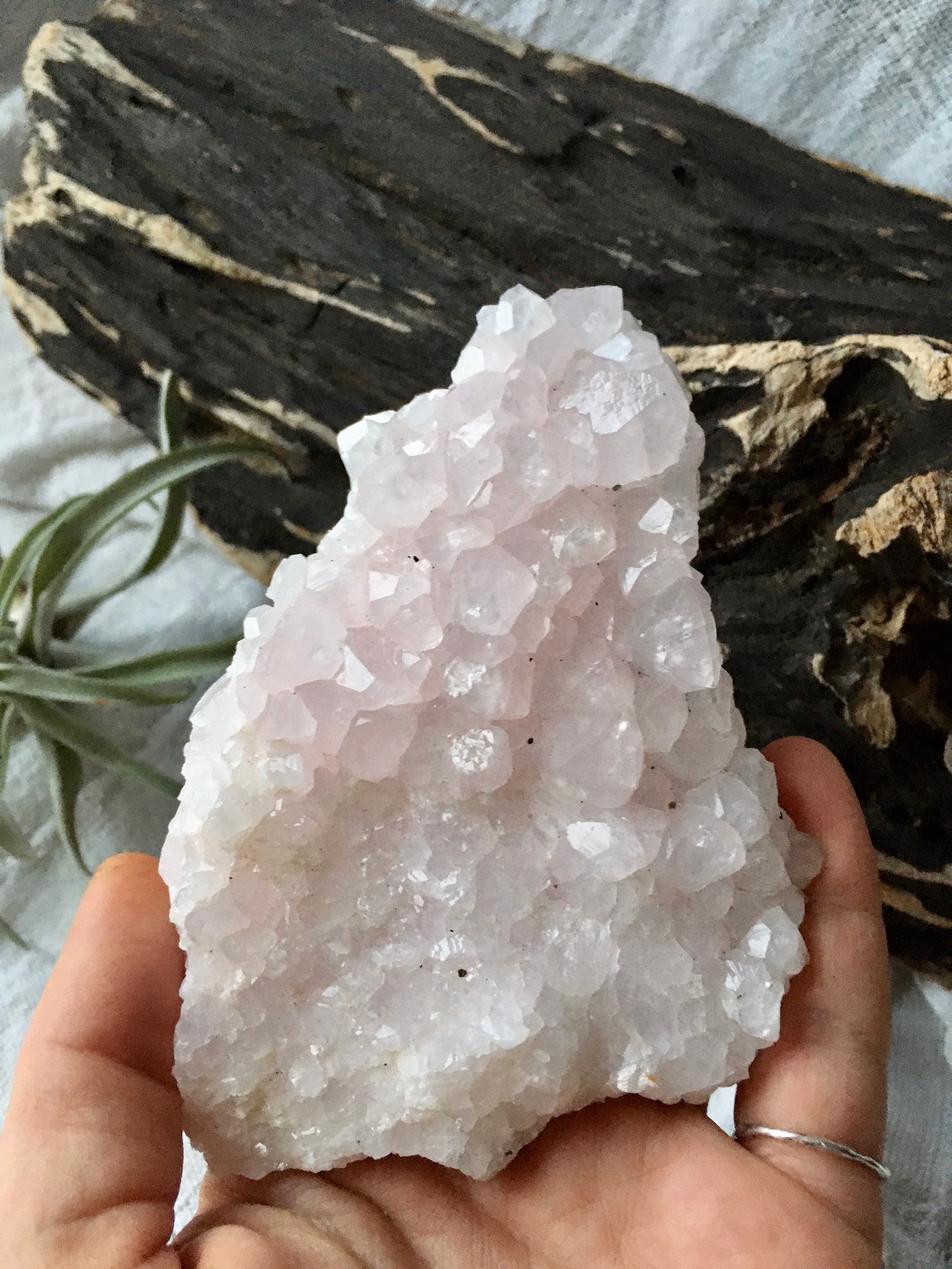 Raw Calcite Raw Mangano Calcite Pink Calcite Raw Natural - Etsy