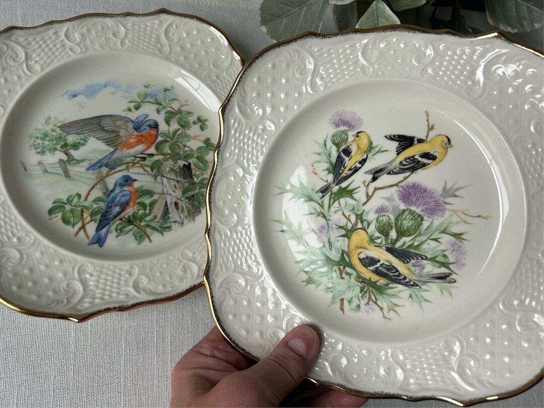 Vintage Bird Plates Set of 2 Songbird Botanical Display Plates ...