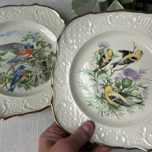 Bird Plates - Etsy