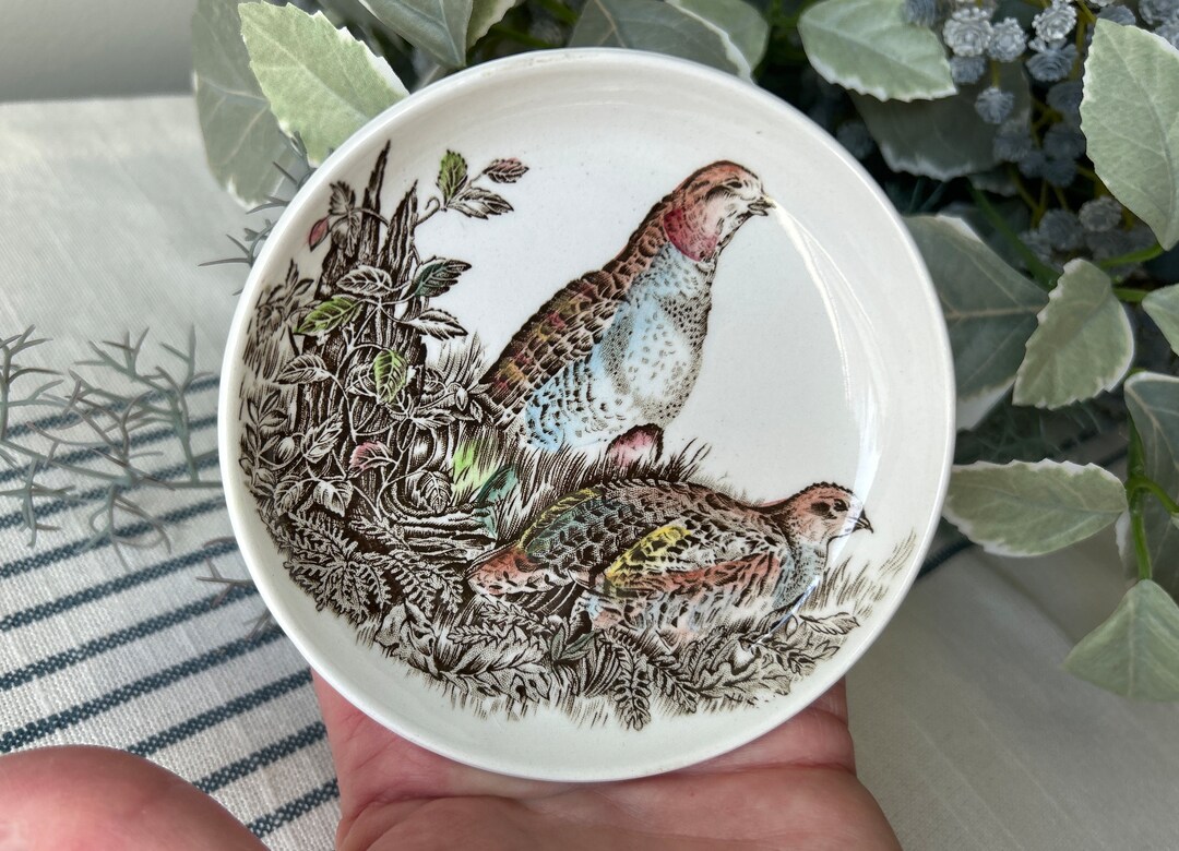Vintage Johnson Brothers game Birds Coaster Tidbit Plate Butter Pat the ...