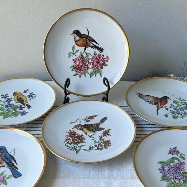 Bird Plates - Etsy