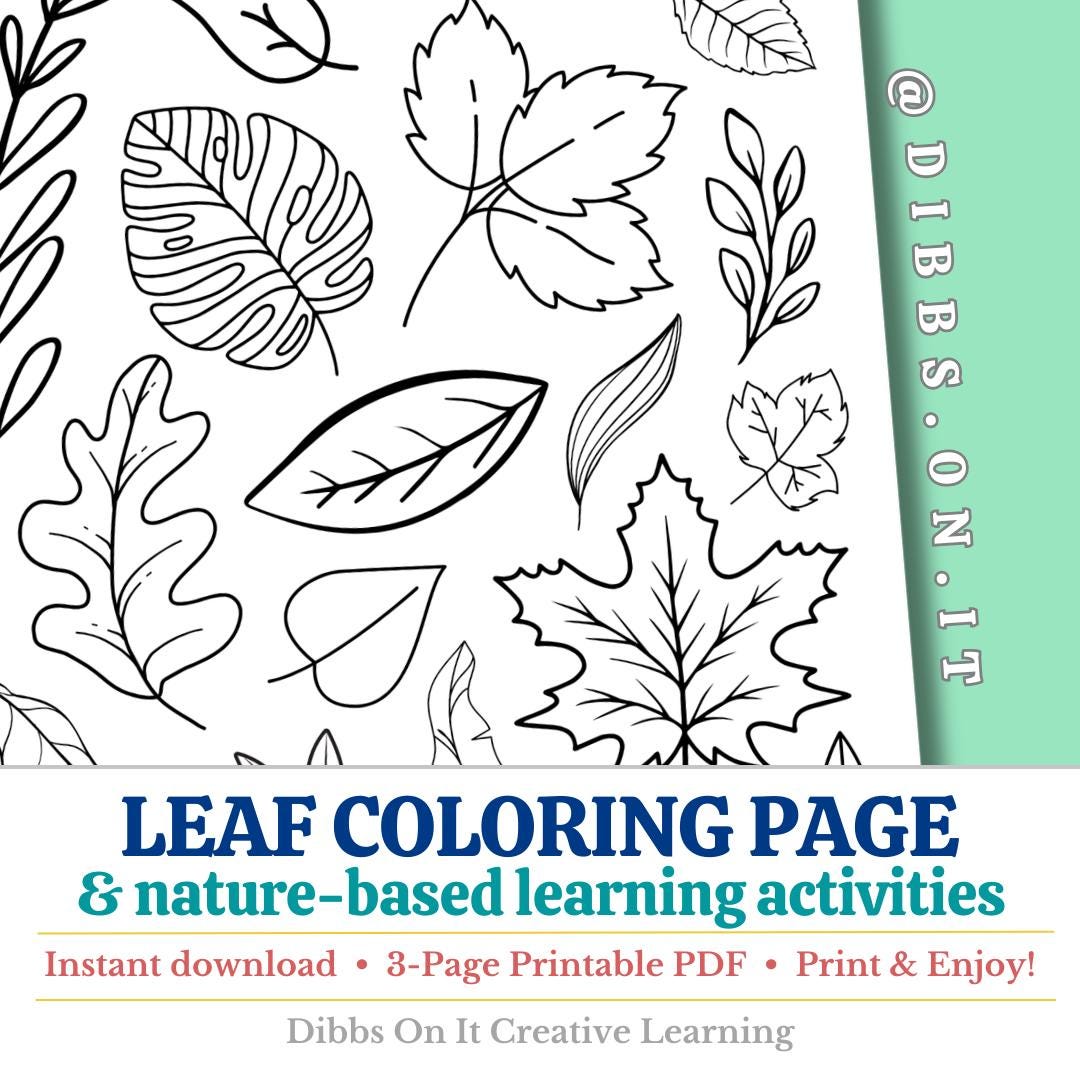 Leaf Coloring Page | Kids Outdoor Education Worksheet | Fall Leaves ...