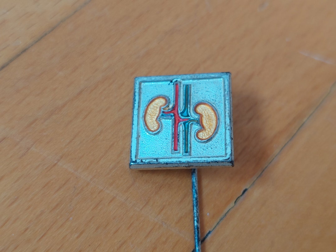 Anatomy Pin Badge-kidneys-vintage Rare Badge - Etsy