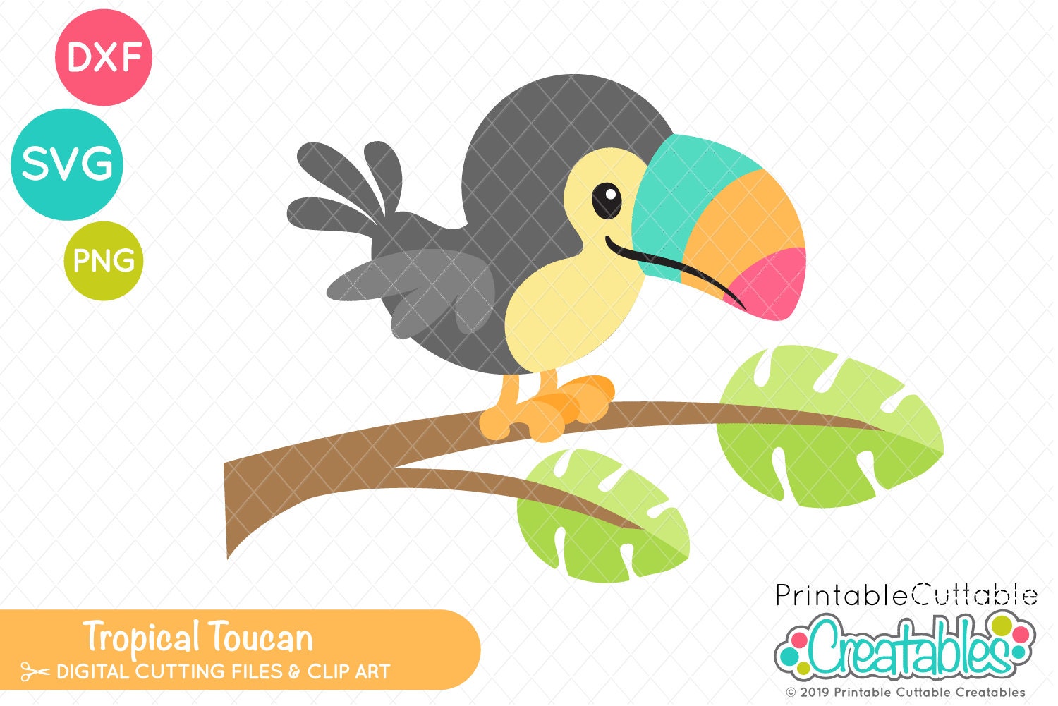 Tropical Toucan SVG Cut File & Clipart E462 SVG DXF files | Etsy