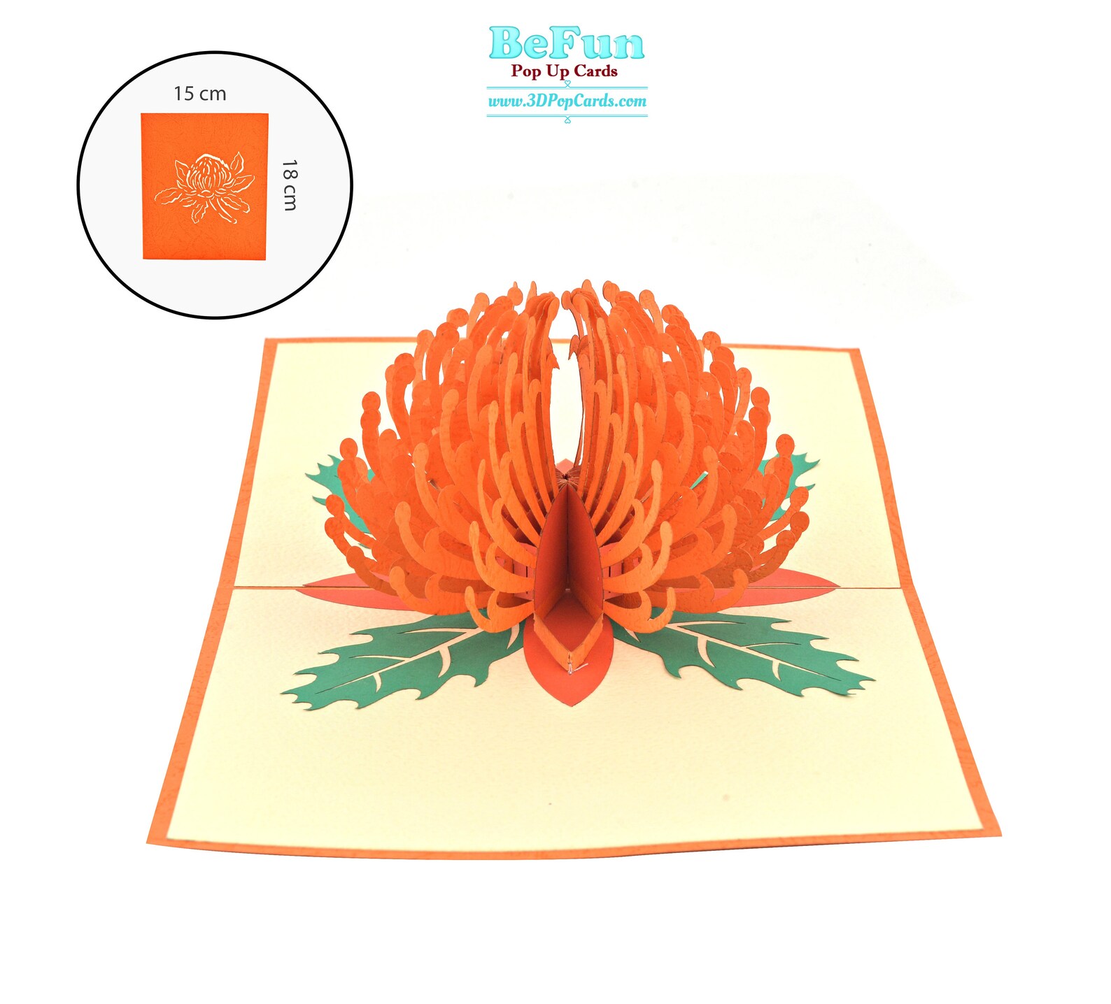 Floral Variety Pack 4 Pop up Cards With Envelopes Flower Blank Note ...