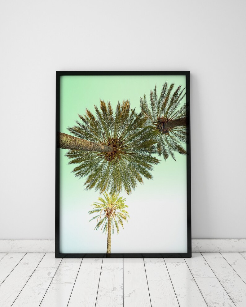 Coastal Decor Coastal Art Palm Tree Print Coastal Prints Palm Etsy