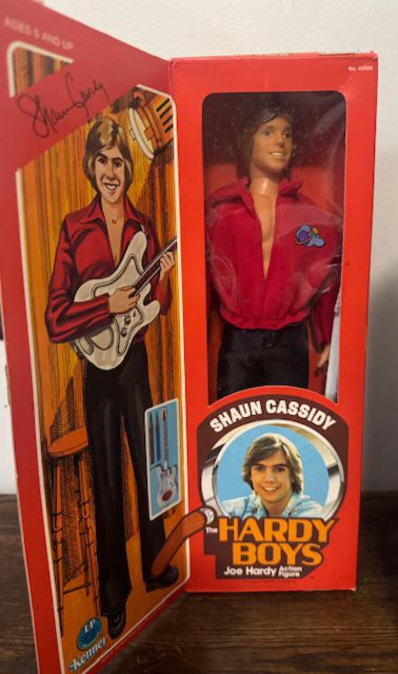 Vintage 1978 Hardy Boys Dolls, NIB Kenner Toys - Etsy
