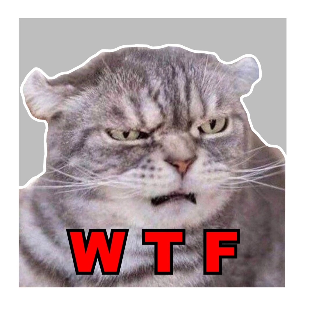 Angry Cat Car Decal-bumper Sticker-wtf - Etsy