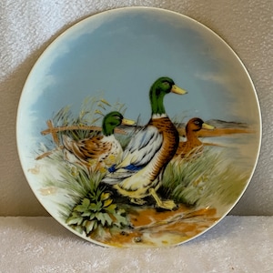 Duck Plates Set of 2 Made in Japan Vintage - Etsy