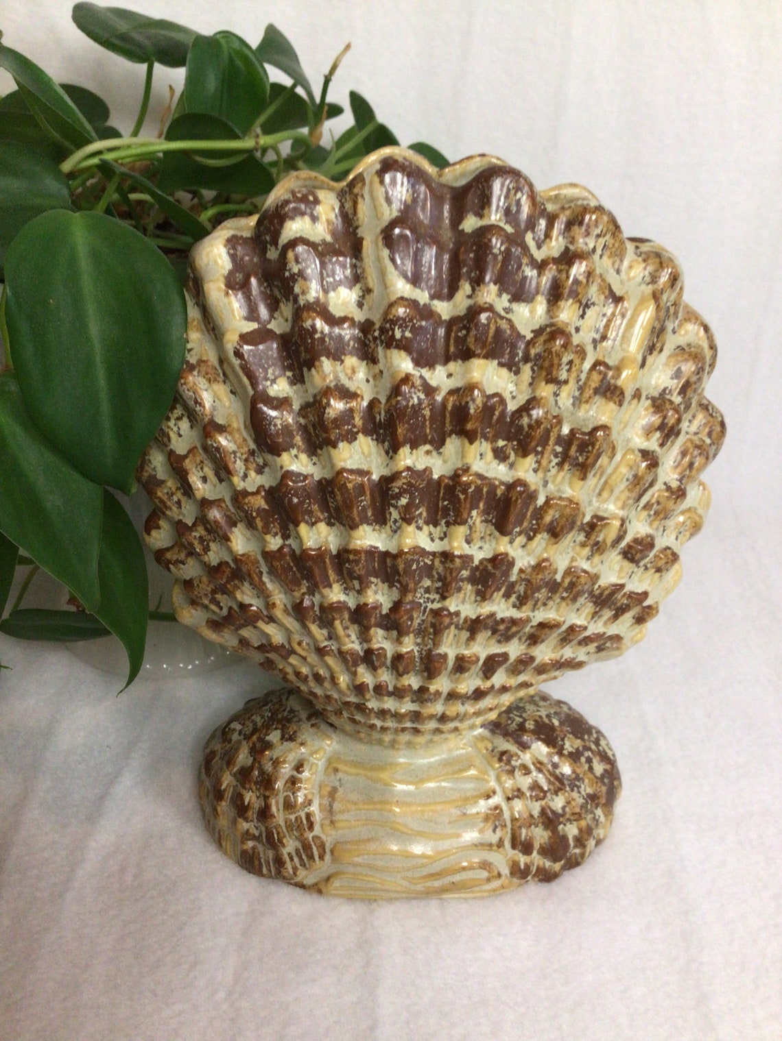 Seashell/clam Shell/scallop Vase Glazed Ceramic-made in - Etsy