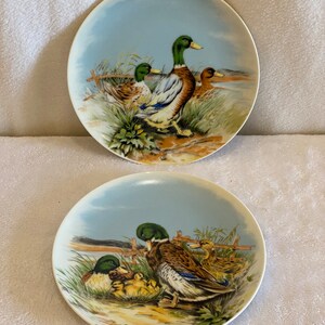 Duck Plates Set of 2 Made in Japan Vintage - Etsy