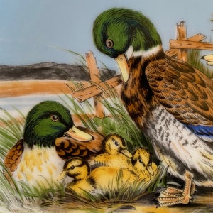 Duck Plates Set of 2 Made in Japan Vintage - Etsy