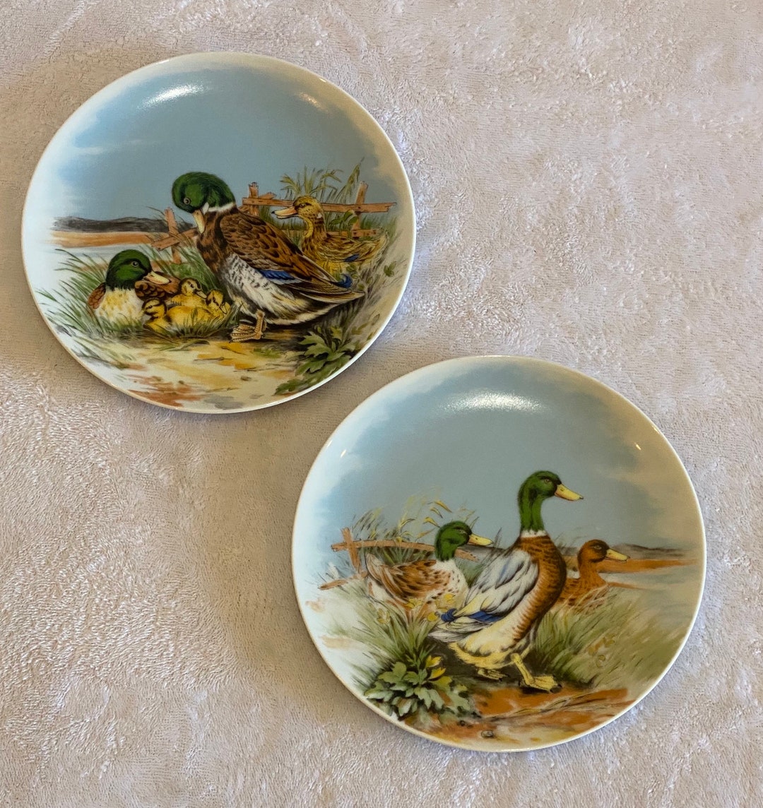 Duck Plates Set of 2 Made in Japan Vintage - Etsy