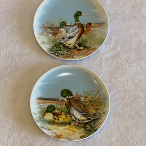 Duck Plates Set of 2 Made in Japan Vintage - Etsy