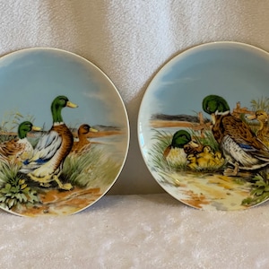 Duck Plates Set of 2 Made in Japan Vintage - Etsy
