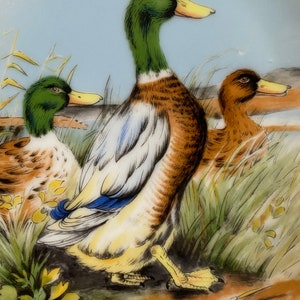Duck Plates Set of 2 Made in Japan Vintage - Etsy