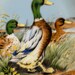 Duck Plates Set of 2 Made in Japan Vintage - Etsy